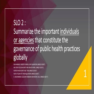 governance of public health practices globallypptx.pptx