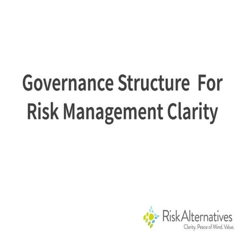 Governance Structure For Risk Management Clarity | PDF