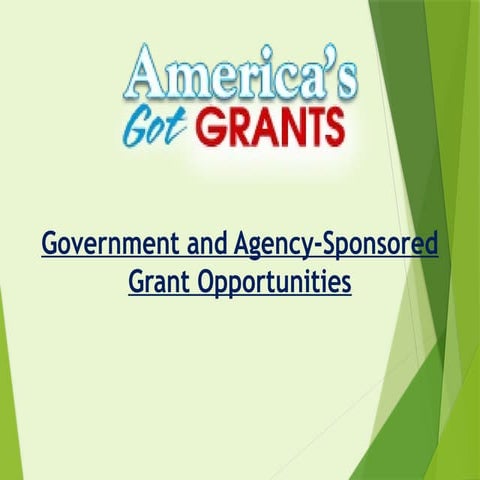 Government and Agency-Sponsored Grant Opportunities | PPT