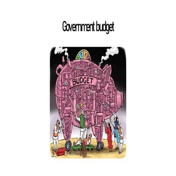 Govt Budget & the Economy class 12 .pptx