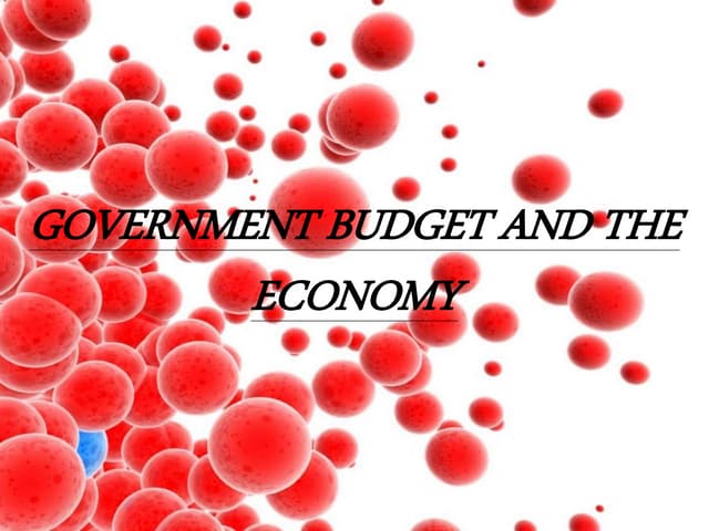 ppt on government budget | PPTX