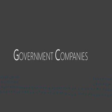 Private Vs Government Companies | PPT