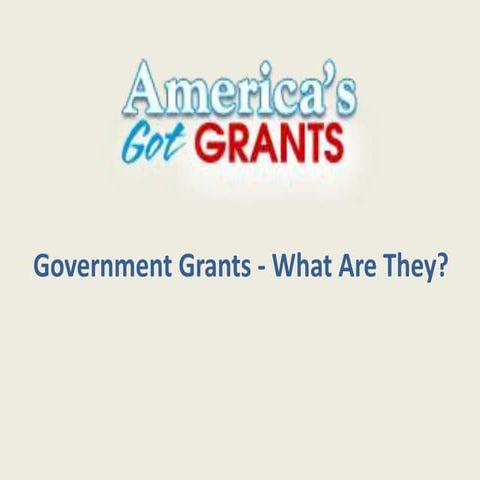 Government Grants - What Are They.pptx