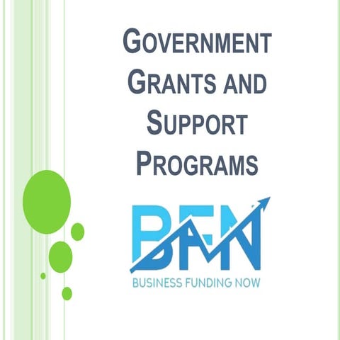 Government Grants and Support Programs.pptx
