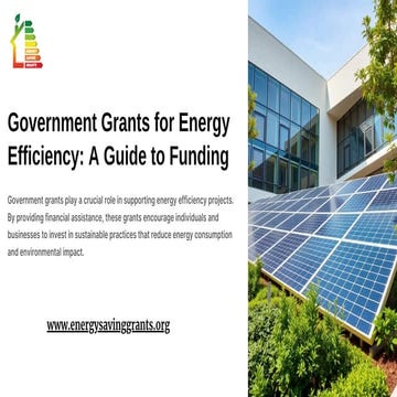 Empowering Sustainability The Role of Energy Efficiency Grants.pdf