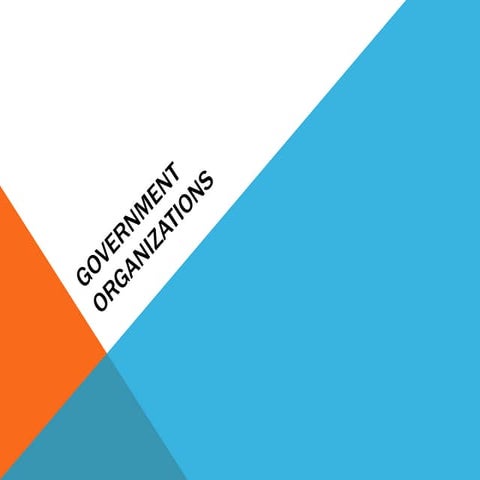 Government organizations in development | PPTX