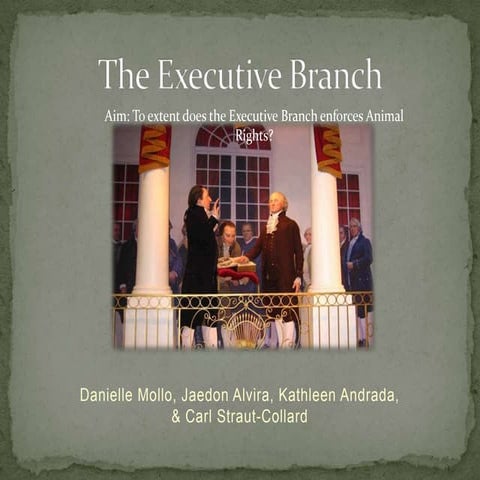 The Executive Branch | PPTX | Elections | Politics
