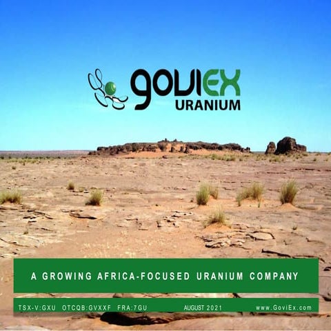 Goviex presentation august_2021 | PDF