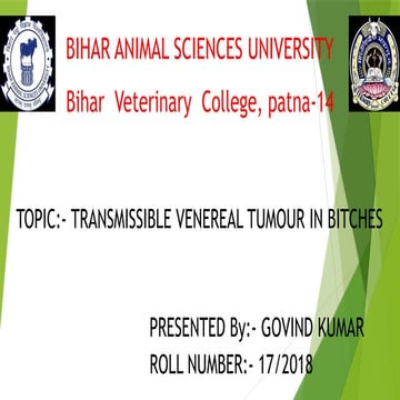 ppt regarding diseases in animal used for vet pratices | PPTX