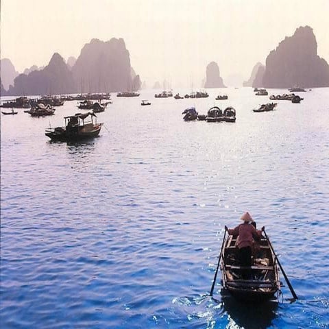 BÀN TAY.ppt