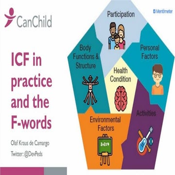ICF in Practice and F-Words | PDF