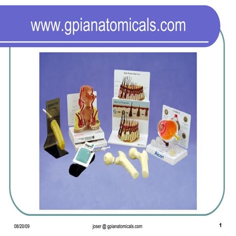 Gpi Powerpoint | PPT | Death, Injury, or Military Conflict | Sensitive ...