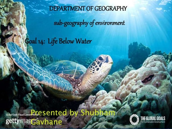 Life below water - presentation | PDF