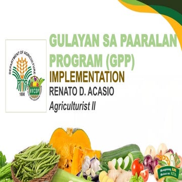 GPP-Implementation-Villa-Caceres PPTpptx | PPTX | Agriculture | Industries