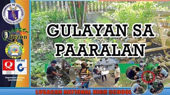 Gulayaan sa Paaralan Project [GPP] - Project Proposal for FY 2014 | PDF