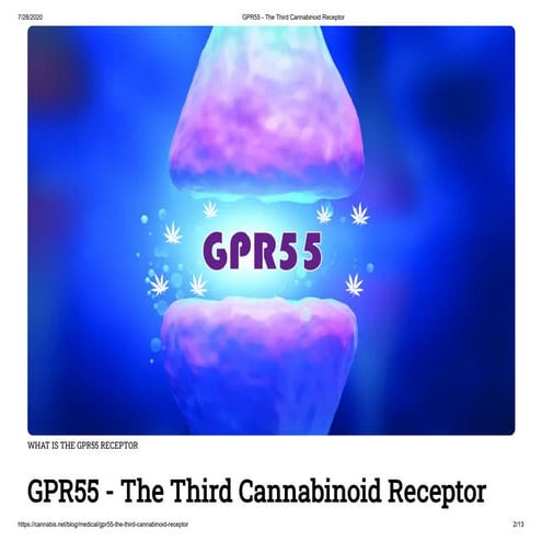Role of CB2 Receptors In Pain and Inflammation.pptx