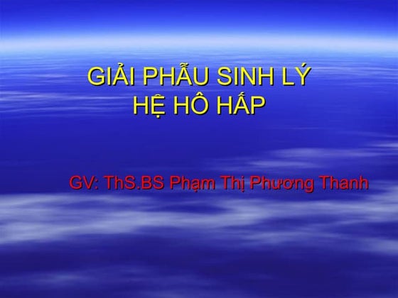 Sinh ly ho hap | PPT