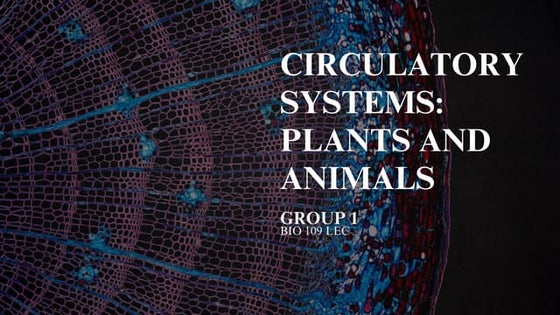 Circulatory system of insects | PPTX