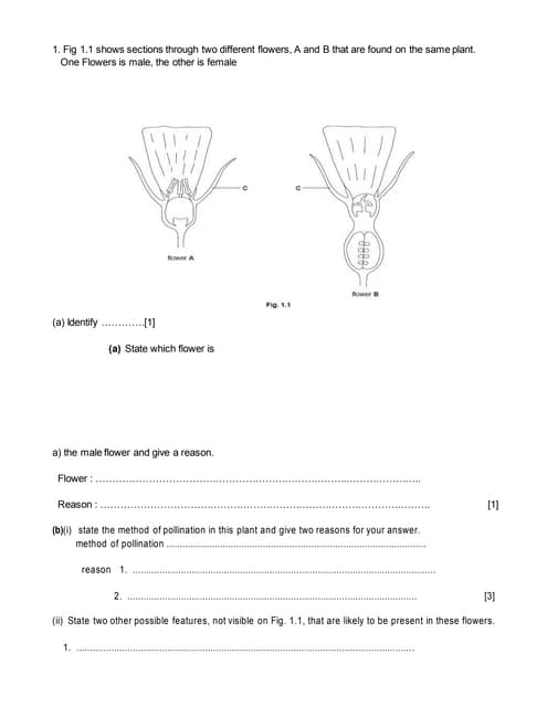 Bio p2 rev 3 2012 copy | DOCX | Drawing and Sketching | Arts and Crafts