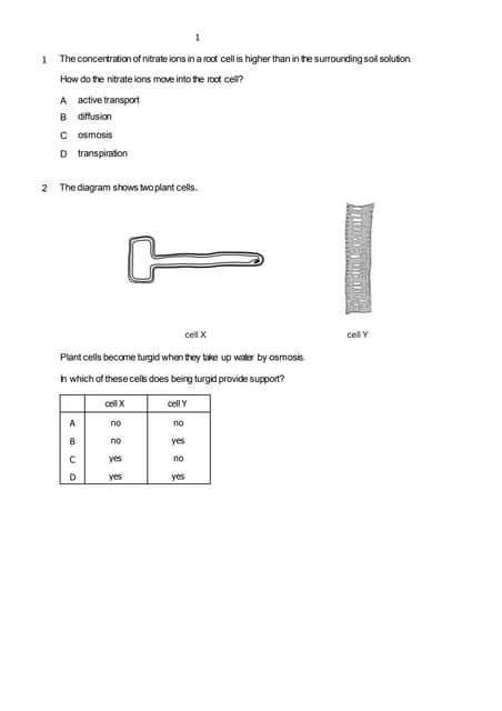 WAEC Biology Objective Essay Questions and Answers.pdf WAEC Biology Objective Essay Questions and Answers.pdf