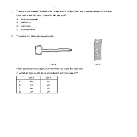 Gr10 bio rev p1 copy | DOCX