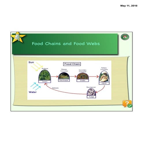 Gr10 eco may6, 7,10, 11 food chains and food webs | PDF