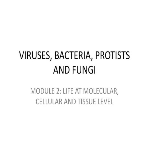 Gr 11 virusses,_bacteria,_protists_and_fungi_eng_only[1] | PPT