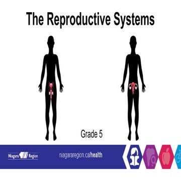 Reproductive. health basics 5th grd 2026 | PPTX
