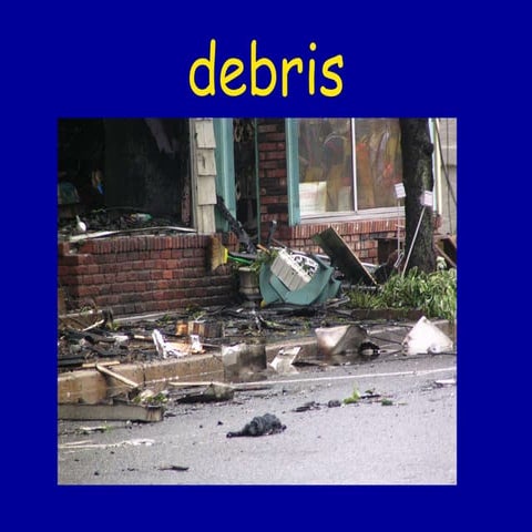 Gr5 Th1 Earthquake Terror | PPT | Geography | Science