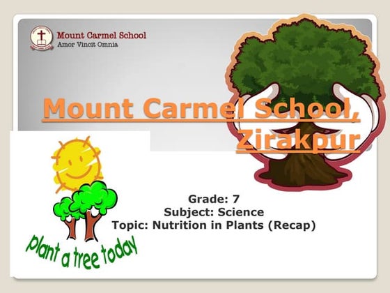 Class -7 Science Chapter-1 nutrition in plants, | PPT