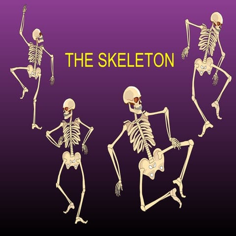 Interactive Powerpoint: Skeletal System | PPT