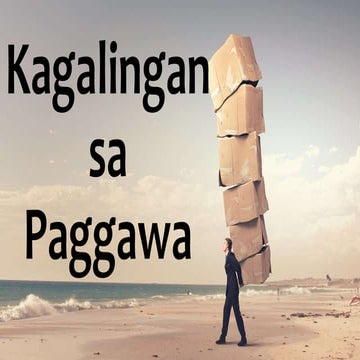 manual.professional.pdf