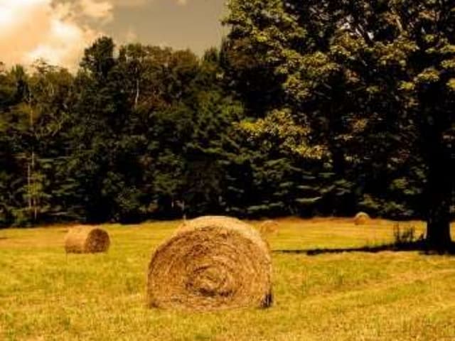 Experiencing God’s Faithfulness | PPTX