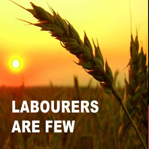 Gracious Jesus 37 - Labourers are few | PPTX