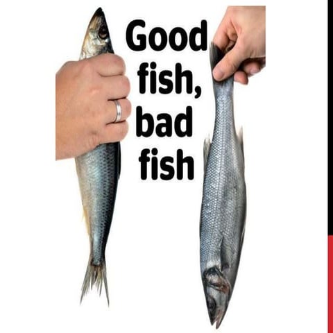 Gracious Jesus 62 Good Fish Bad Fish.pptx