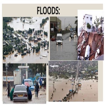 Grade Geography 10 Notes to explain how floods affect people and the ...