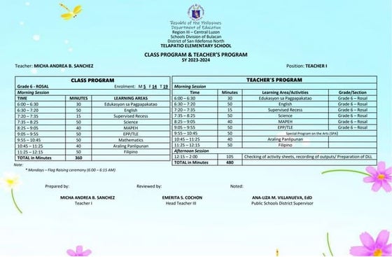 MATATAG CLASS-PROGRAM-GRADE-5-AND-6-edited.docx | Professional School | Postgraduate Education