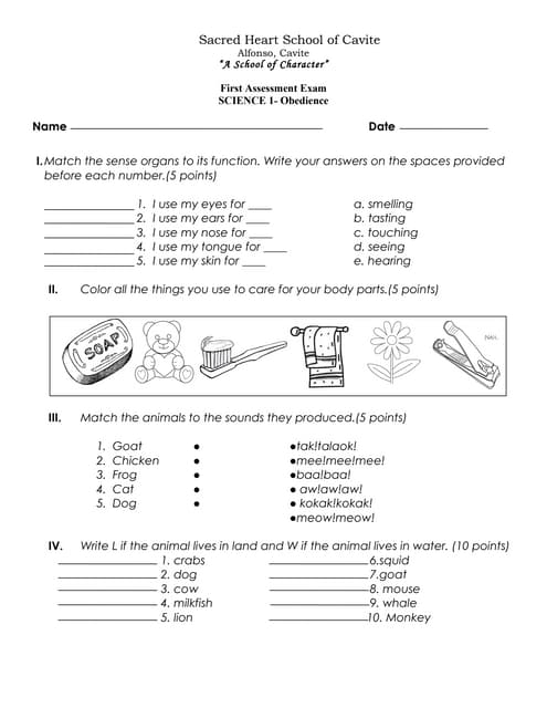 Class 1 ICSE EVS Sample Paper Model 1 | PDF