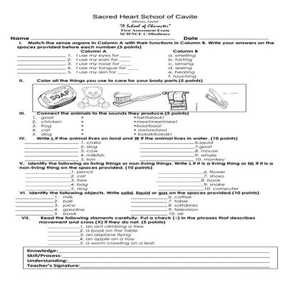 Grade 1 1st assessment | DOC