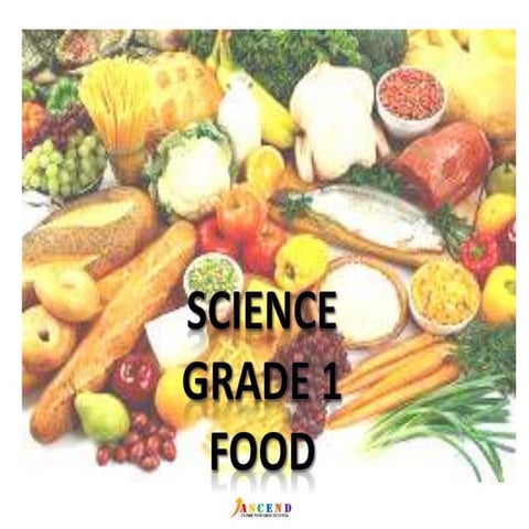 Grade 1 food | PPTX