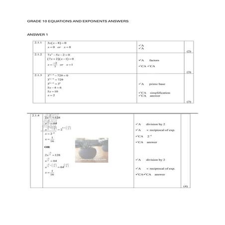 GRADE 11 EXPONENTS & SURDS QUESTIONS.pdf