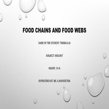 Food Chain and Food Web | PPTX