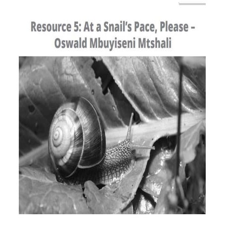 At a snail's pace please! by Mbuyiseni Mtshali | PPTX