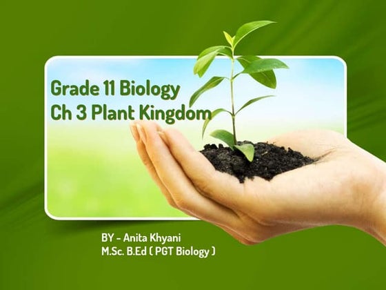 Plant kingdom class 11 | PPTX