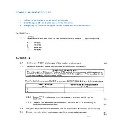 GRADE 11 BUSINESS STUDIES QUESTIONS BUSINESS ENVIRONMENTS.pdf