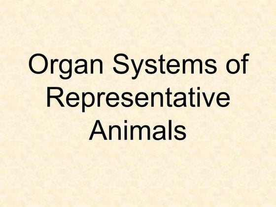 Animal and plant organs & systems | PPT