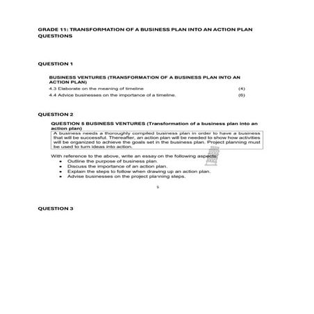 GRADE 11 TRANSFORMATION OF A BUSINESS PLAN INTO AN ACTION PLAN ...