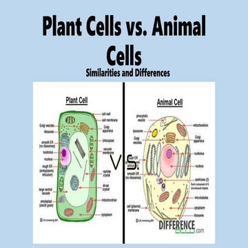 SCIENCE7: Plant and Animal Cells | PPTX