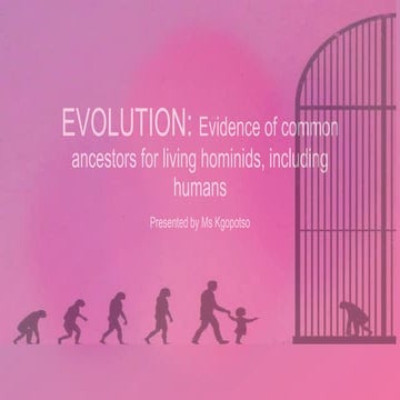 GRADE 12 HUMAN EVOLUTION.pptx