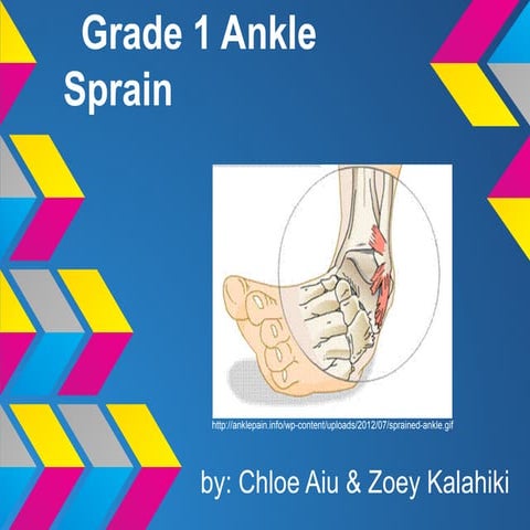 Grade1 anklesprain | PPT